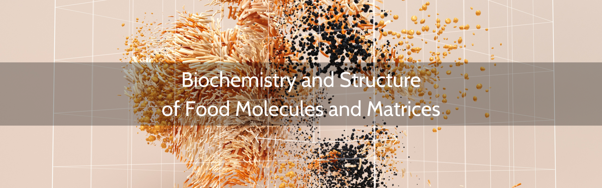InnograinLab – Biochemistry and structure of food molecules and matrices